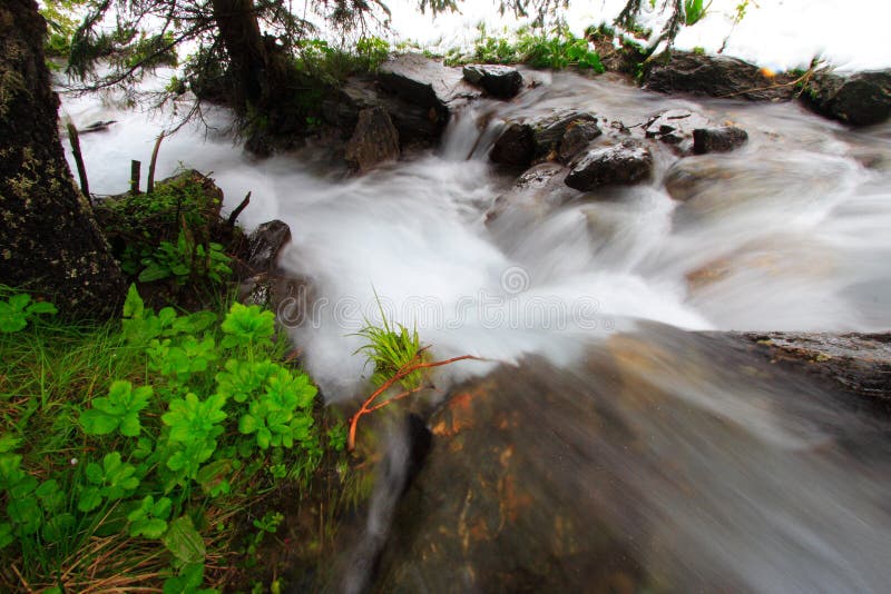 Rushing rocky stream stock photo. Image of splashing, flow - 2502684