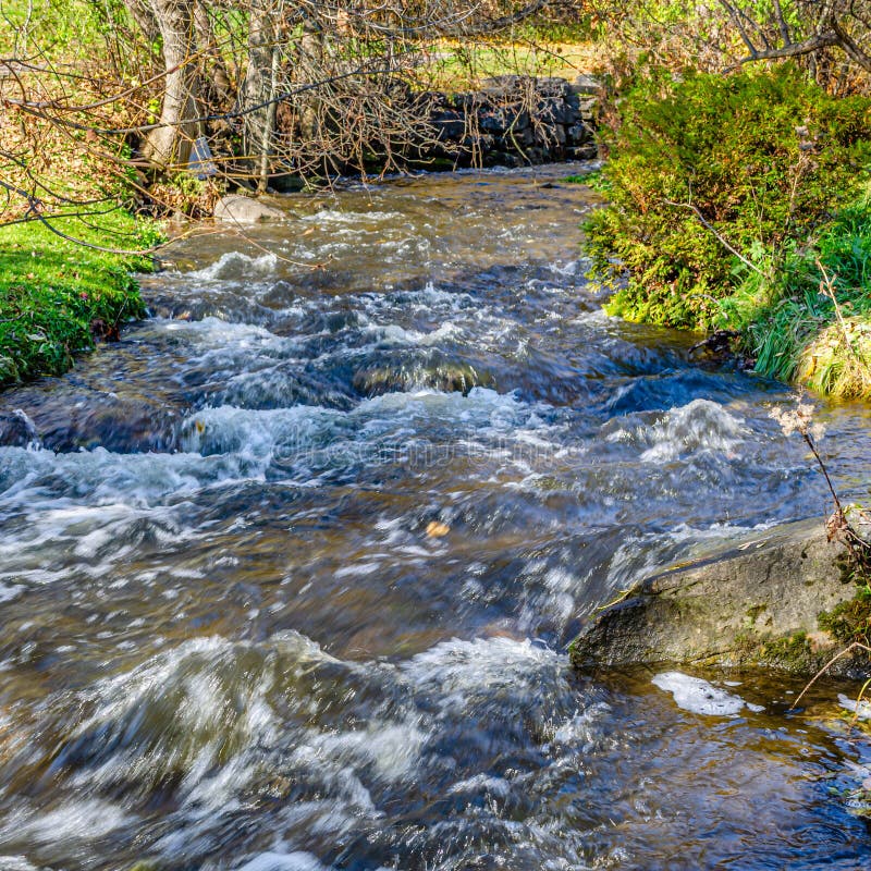 Rushing Shallow Rocky Creek Fall Stock Photos - Free & Royalty-Free ...
