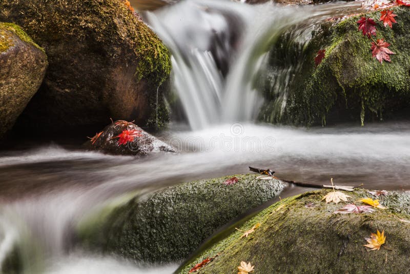 Rushing Stream in the Autumn Stock Image - Image of country, close ...