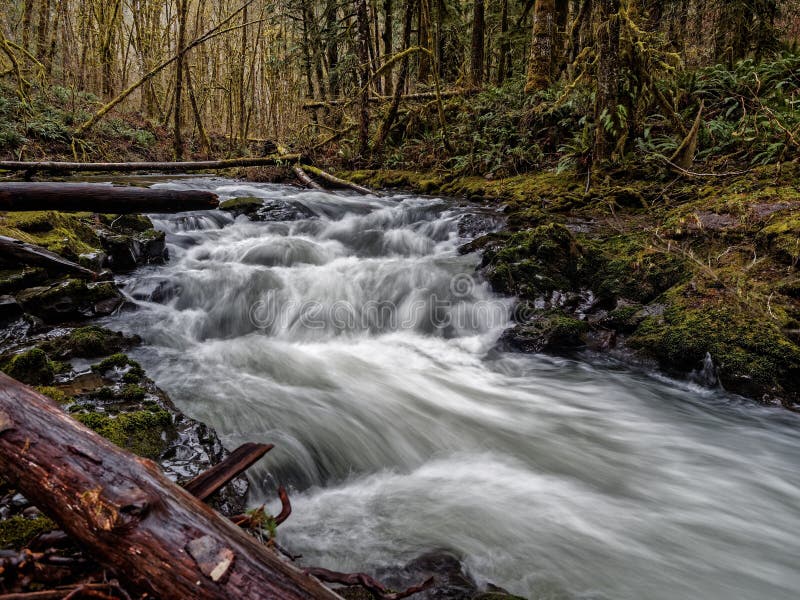 Rushing Stream in Forest stock image. Image of rocks - 91523911