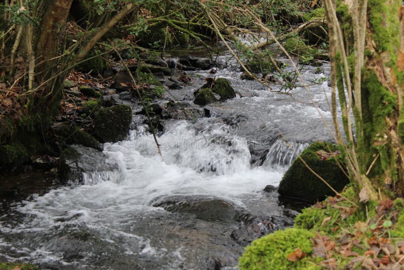 Rushing Stream stock image. Image of crash, flow, motion - 6199093