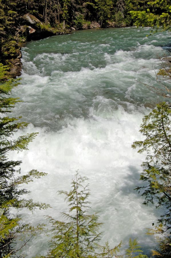 Rushing Water stock photo. Image of evergreens, fast, glacier - 968252