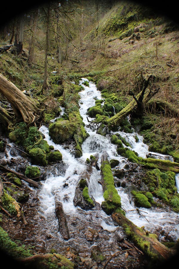 Rushing Water at the Columbia River Gorge Stock Image - Image of ... Rushing Water at the Columbia River Gorge Stock Image - Image of ...