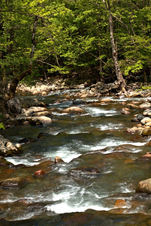 Rushing Water in a Mountain Stream in the Spring Stock Photo - Image of ...