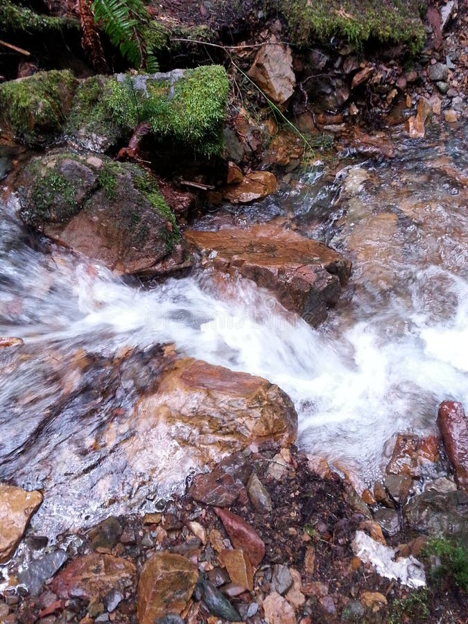 Rushing water stock image. Image of nature, canada, river - 50260241