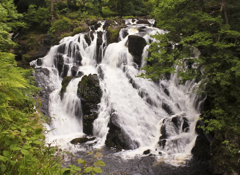 A Rushing Waterfall in a Green Forest Stock Photo - Image of ferns ...