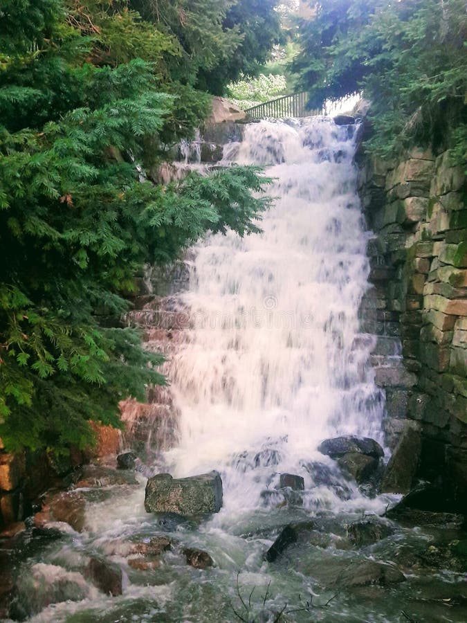 Waterfall in the Forrest stock photo. Image of lush - 162219716