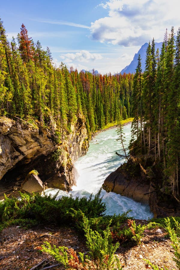 Sunwapta River. Jasper National Park, Alberta, Canada. Stock Image ...