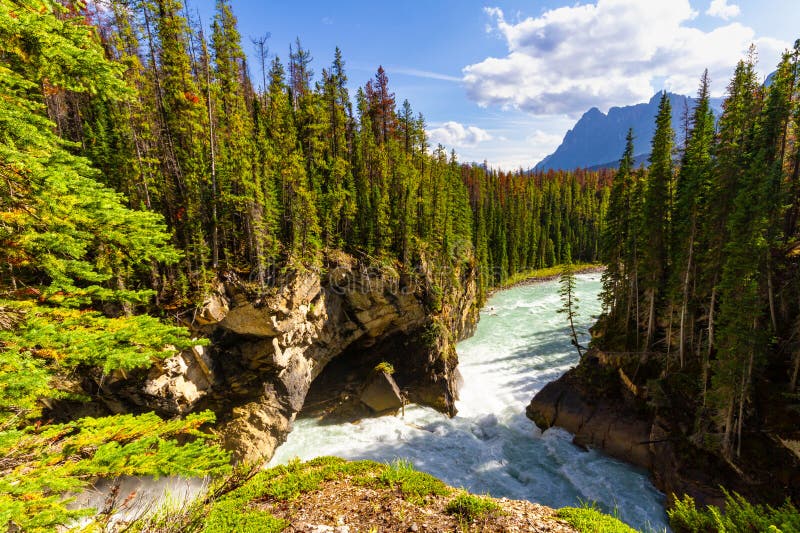 Sunwapta River. Jasper National Park, Alberta, Canada. Stock Image ...