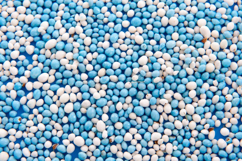 Rusk with mice stock photo. Image of maternity, food, birth - 1389538