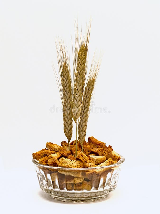 Rusk in a cup stock image. Image of seed, brown, refreshment - 12452527