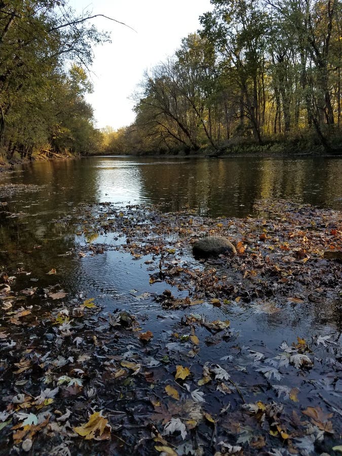 Illinois Fall Foliage Number 2 Stock Photo - Image of fall, russell ...