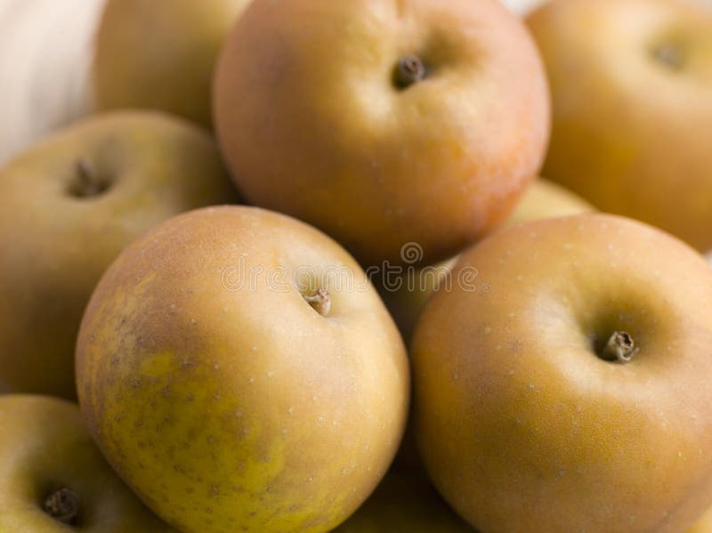 Russet Apples stock image. Image of russet, tasty, supplement - 7229657
