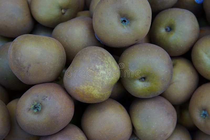 Russet Apples stock image. Image of fruit, market, pommes - 78168739
