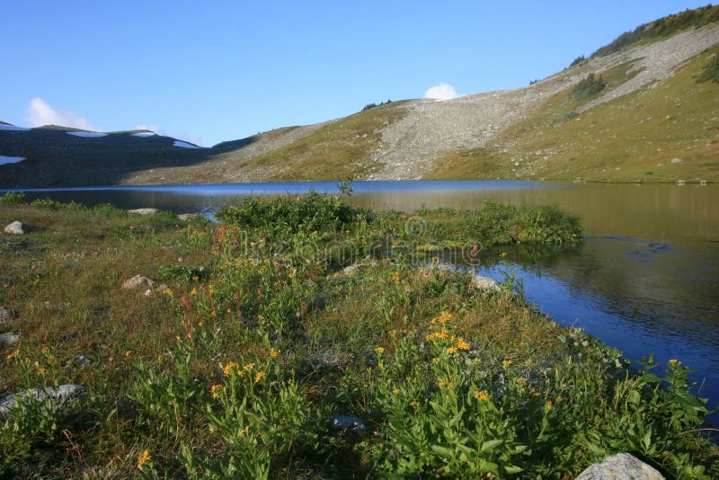 Russet Lake Outhouse stock photo. Image of garibaldi, green - 7326928