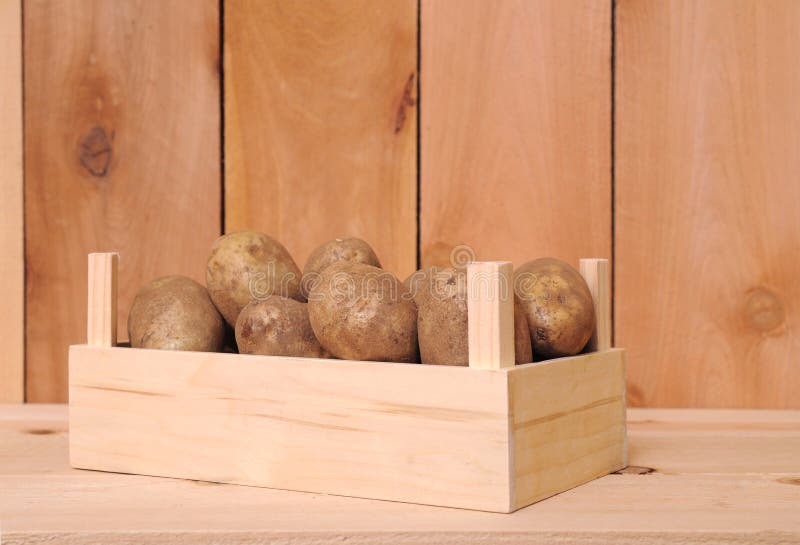 Potato field stock image. Image of farm, lush, blue, gardening - 31425889