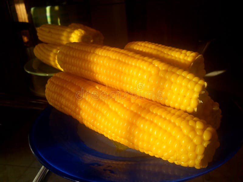 Corn stock image. Image of food, place, nice, eisk, russia - 100419019