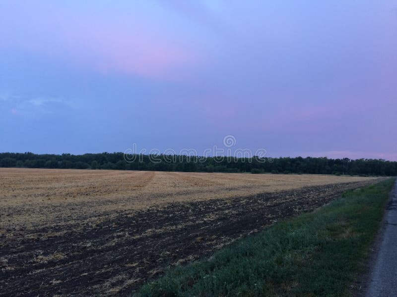 Russia field stock photo. Image of russia, beaty, iphone - 125929050