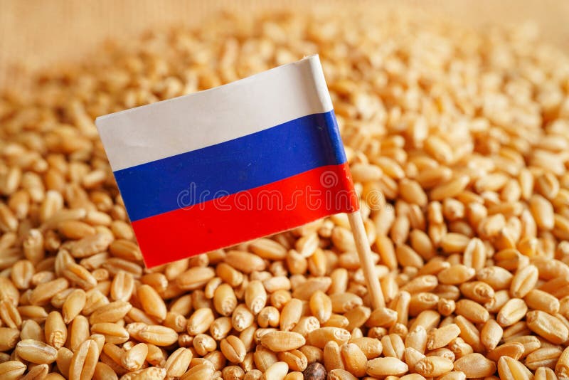 517 Wheat Export Russia Stock Photos - Free & Royalty-Free Stock Photos ...