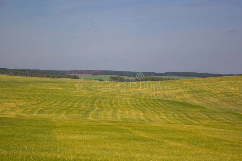 Russia`s field sky sun stock image. Image of russia, nature - 92174543