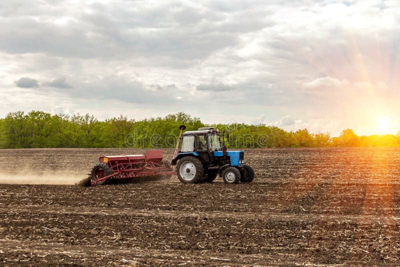 Sowing Work. a Tractor with a Seeder Trailer Works in the Field at ...