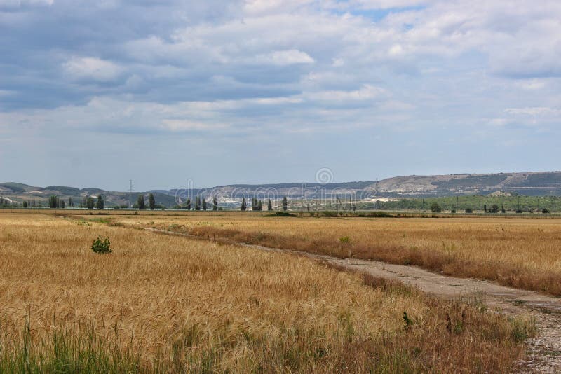 In these sandy fields stock image. Image of fields, field - 138378831