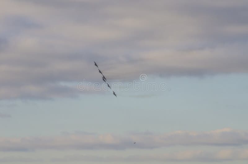 Russian Airplanes Aerobatic Team in the Sky Editorial Image - Image of ...