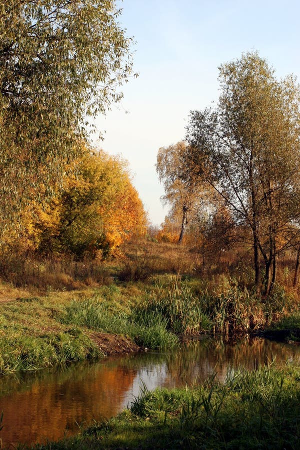 Russian autumn stock photo. Image of autumn, leaf, nature - 286742