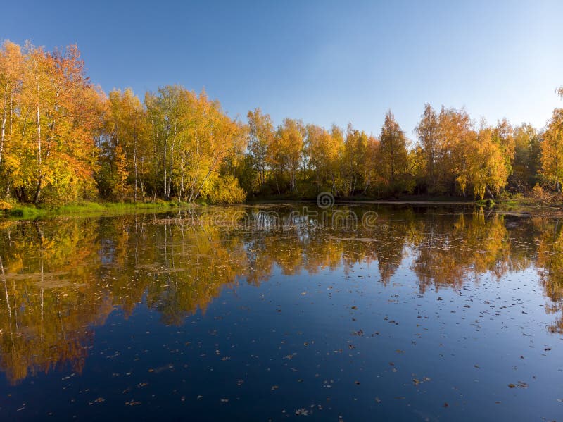 Russian Autumn Landscape with Birches and Pond Stock Image - Image of ...