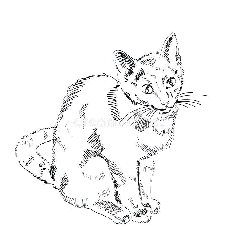 Hand Drawn Russian Blue Cat Stock Vector - Illustration of playful ...