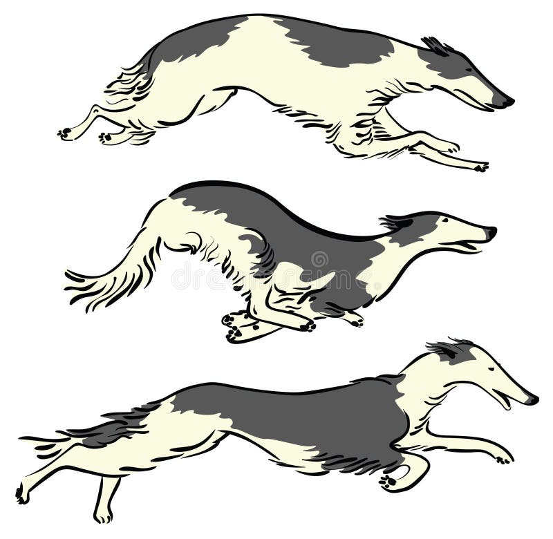 Borzoi Russian Dog Stock Illustrations – 586 Borzoi Russian Dog Stock ...