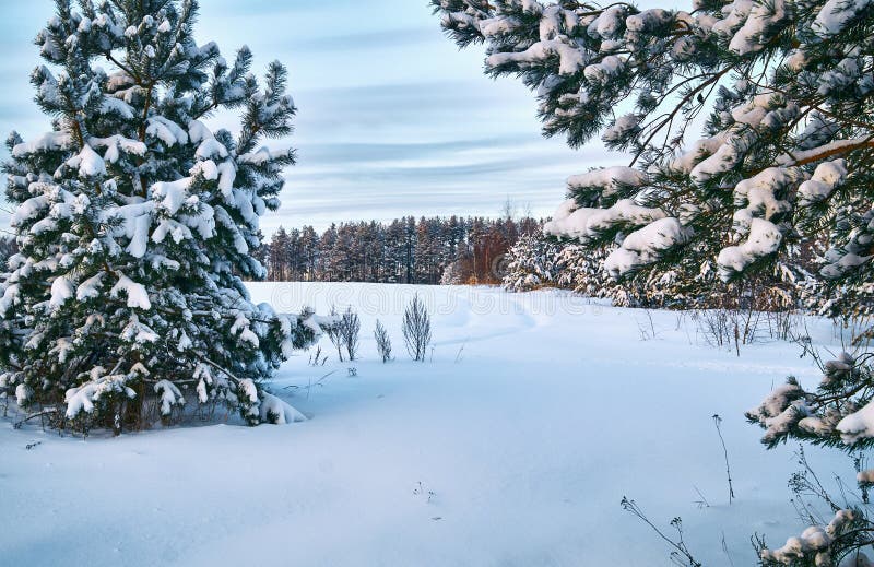 Russian Countryside Winter Landscape Stock Image - Image of december ...