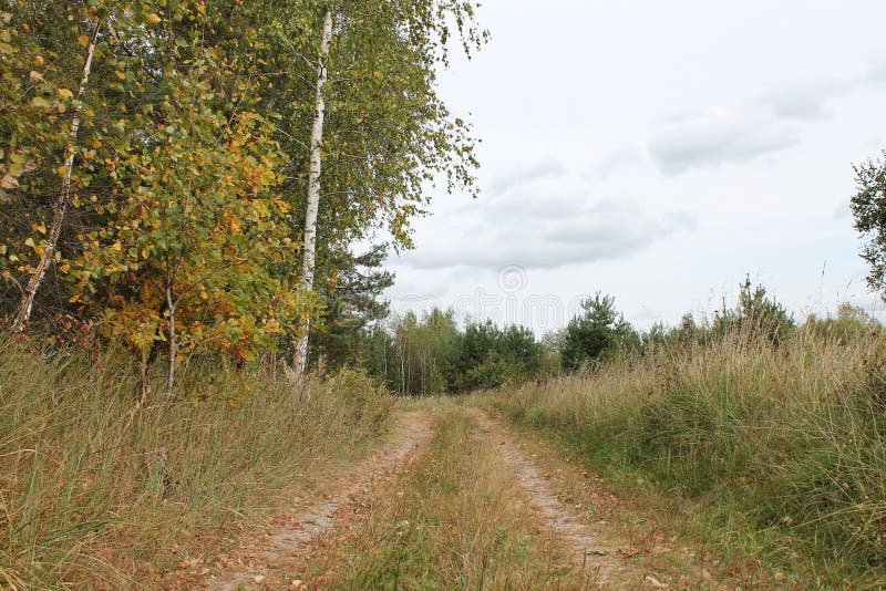Russian Fall. Road and Forest Stock Photo - Image of russian, grass ...