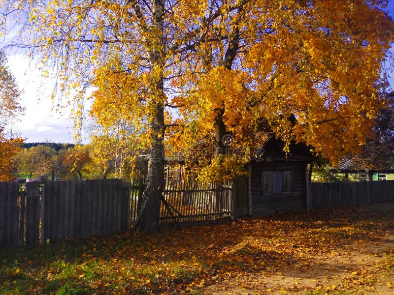 Russian Fall. Road and Forest Stock Image - Image of nature, wood ...
