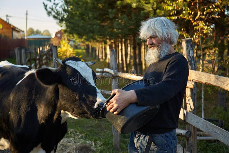 Russian Farmer Girl Carrying Water Buckets Editorial Stock Image ...