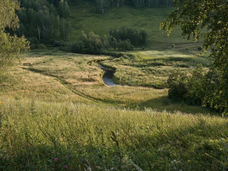 Russian field stock photo. Image of trees, field, evening - 39400186