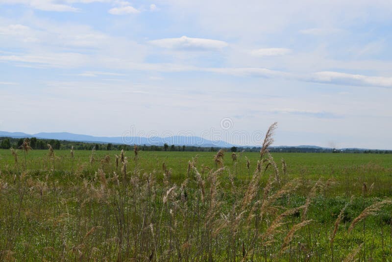 Russian field stock photo. Image of beskrayney, russian - 95560216