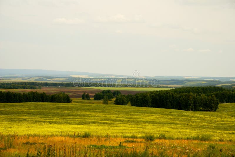 Russian field. Siberia stock image. Image of hills, russia - 8468257
