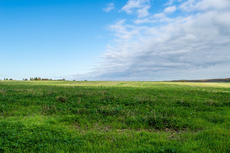 Russian field stock image. Image of agriculture, harvest - 17272965