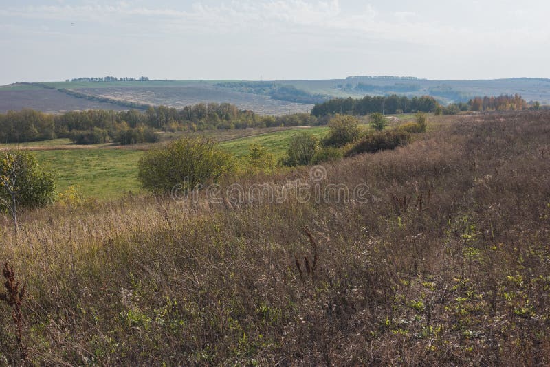 Russian Fields with Sky and Plants - Summer Meadow - Ural Landscape ...