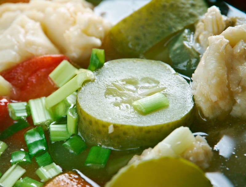 Russian fish solyanka stock image. Image of russian, food - 67596265