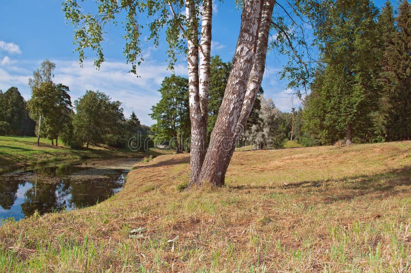Russian landscape stock image. Image of heat, river, region - 44496459