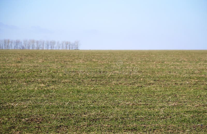 Russian Prairie in Winter. Stavropol Stock Image - Image of morning ...