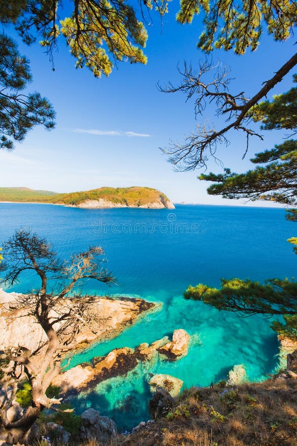 Russian Primorye Rocky Shore Cedar Stock Image - Image of coast, ocean ...