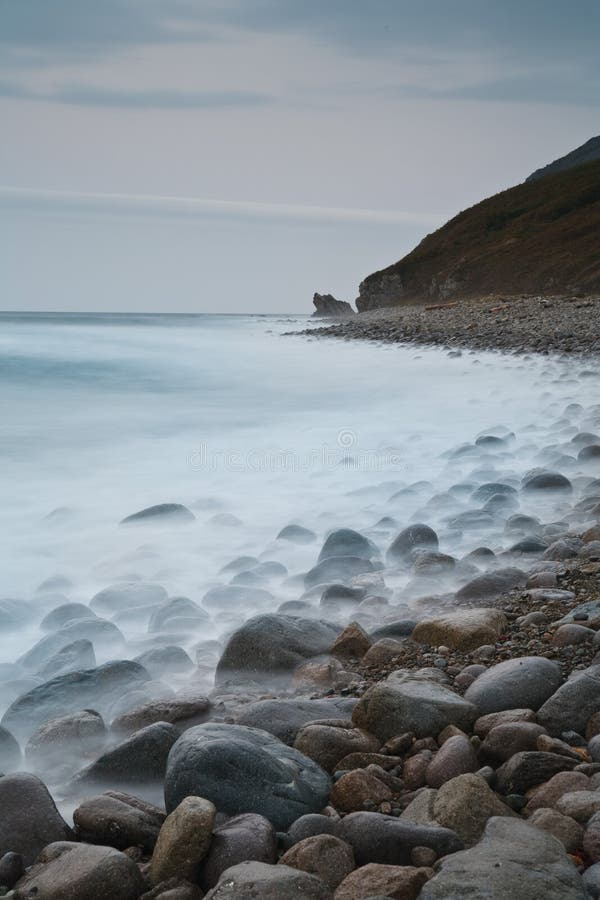 Russian Primorye Coastline Flora Stock Image - Image of landscape ...