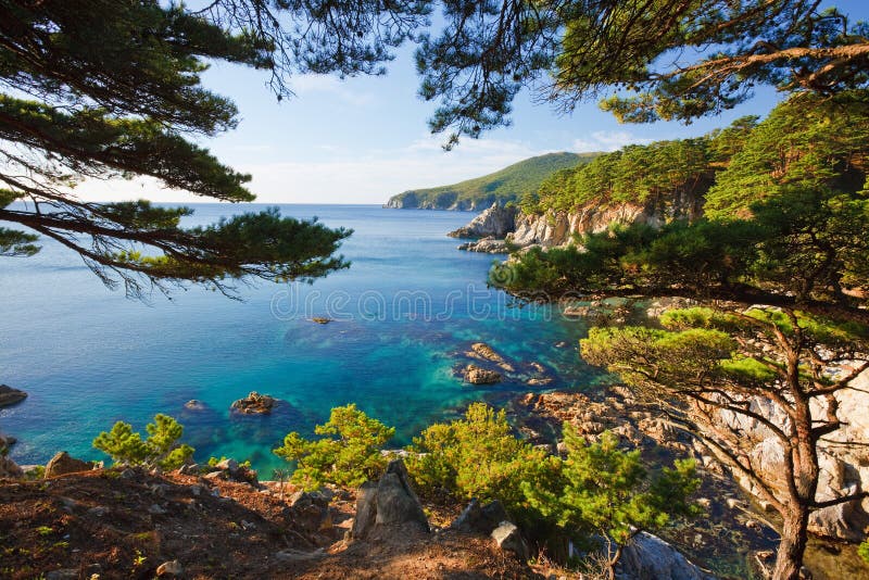 Russian primorye seashore stock photo. Image of primorye - 15136892