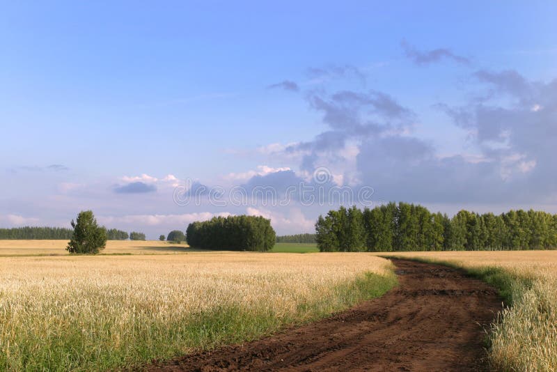 Russian roads stock image. Image of yellow, green, blue - 28220485