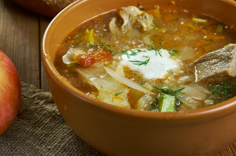 Russian Shchi stock photo. Image of food, dinner, meat - 138344728