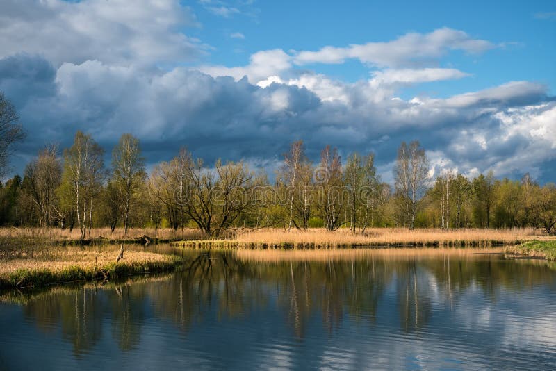 Russian Spring Landscape with Reflections of Trees in the Lake Stock ...