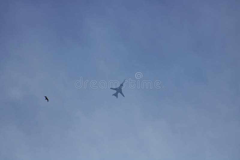 Russian Strategic Bomber and Bird Stock Image - Image of travel ...